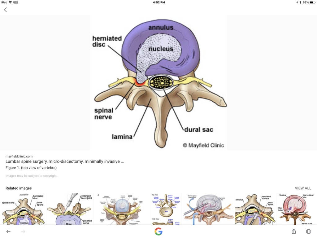 3 - Legacy Spine & Neurological Specialists